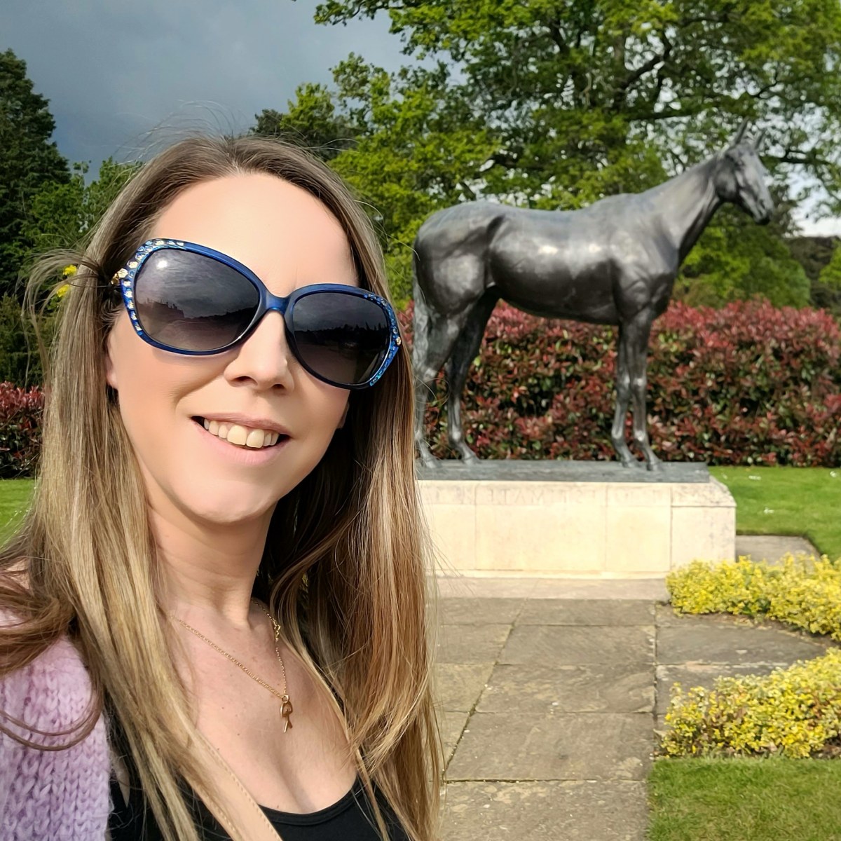 Amy McElroy – A journey of book reviews through history and my own writing adventure!